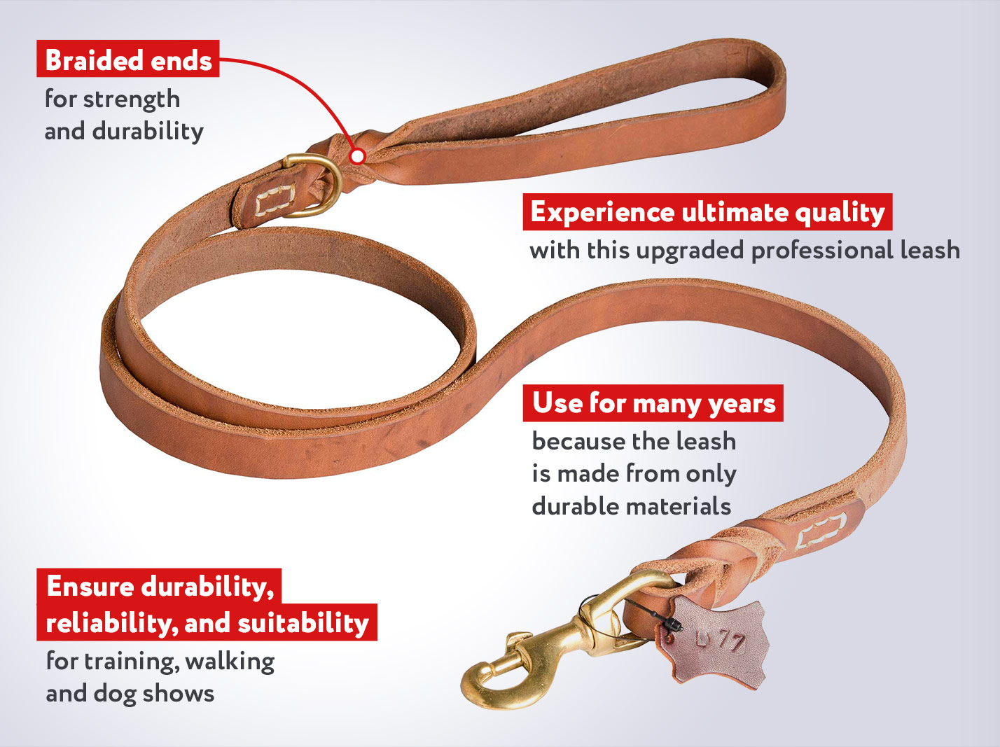 Leather leashes : Cane Corso dog harness, Cane Corso dog muzzle, Cane ...