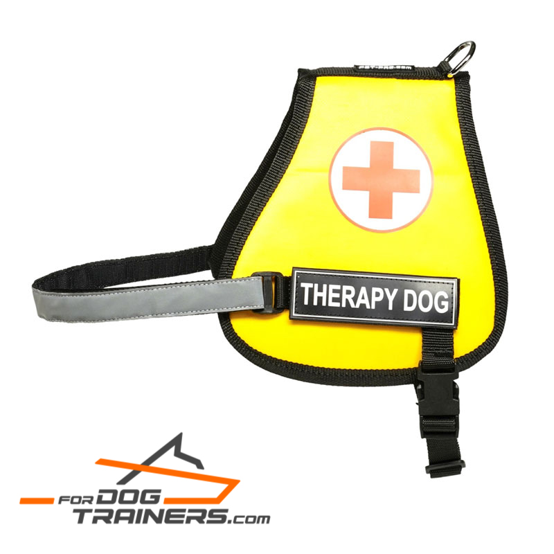 High-quality Nylon Vest 【Harness】 for Therapy Dogs : Cane Corso dog ...